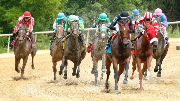 2025 Virginia Derby at a Glance | America's Best Racing