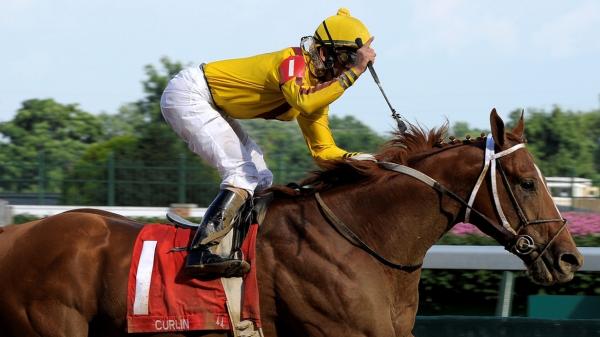 Road to 2024 Breeders’ Cup Sneak Peek: Stephen Foster Stakes and Other ...