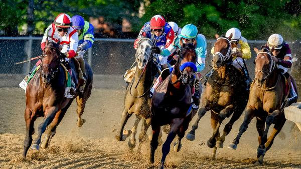 Three Factors That Can Help You Pick the Preakness Stakes Winner ...