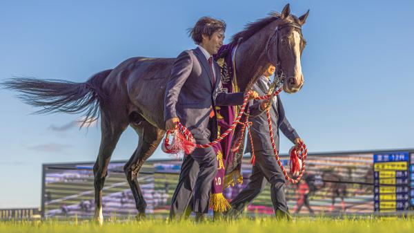 Equinox Named 2023 World’s Best Racehorse, Sets Standard for Japan ...