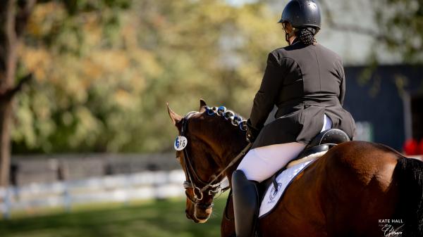 Thoroughbred Makeover Diary: A Final Goodbye | America's Best Racing