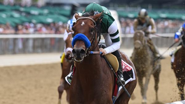 2022 TVG Pacific Classic Cheat Sheet: Get to Know the Horses | America ...