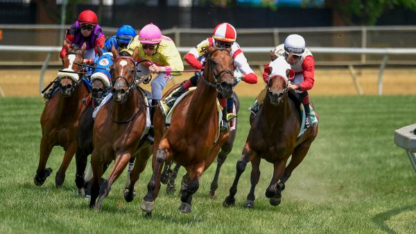 Horse Racing Handicapping Show Launches Featuring TV Racing Personality ...