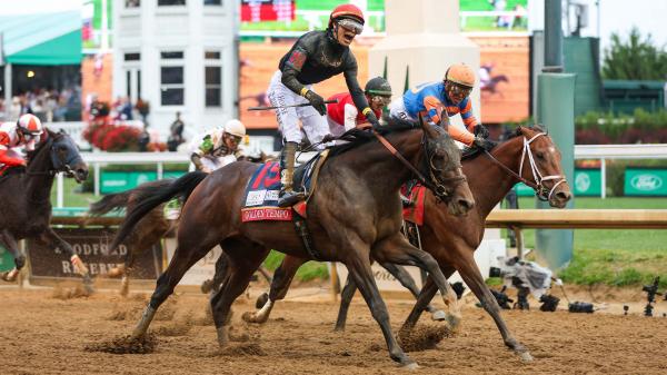 Triple Crown Prospect Profiles: Evaluating Golden Tempo’s Chances in ...