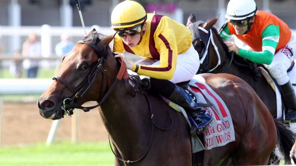 Top Win Contenders in Mrs. Revere Stakes | America's Best Racing