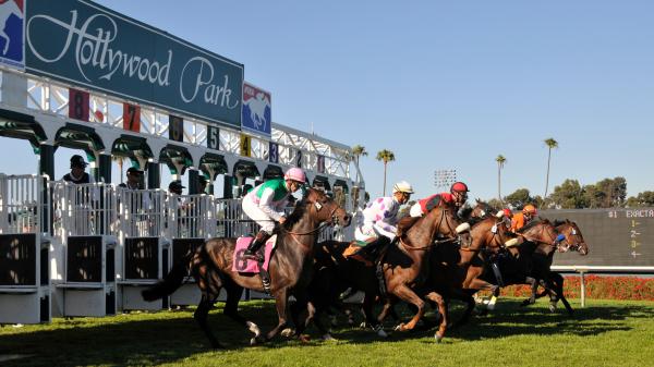 The Racetrack in Charles Bukowski’s Writing: A Microcosm of Life ...