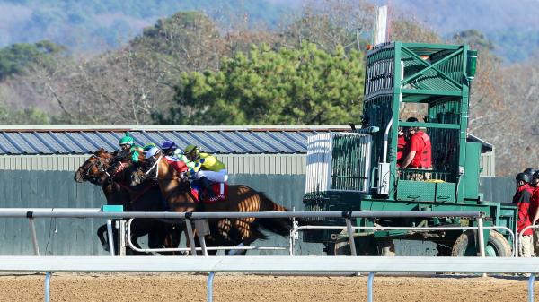 Where to Watch/Listen: Welcoming 2024 with a Holiday Weekend of Racing ...