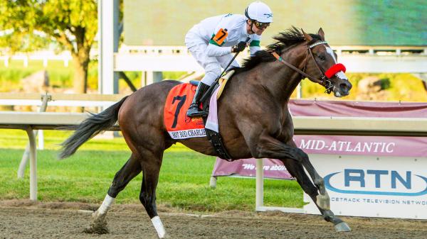 Getting to Know Breeders’ Cup Classic Contender Hot Rod Charlie ...