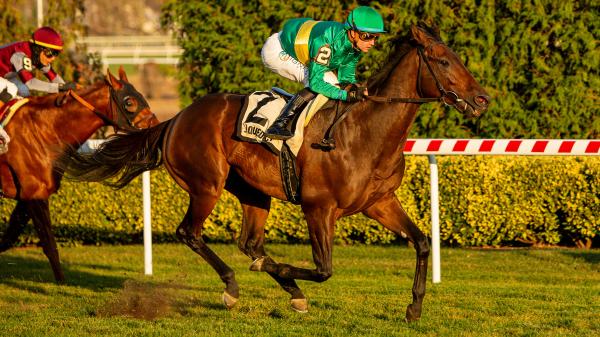 Equibase Trainer and Jockey Rankings Remain Stable, Shug McGaughey ...