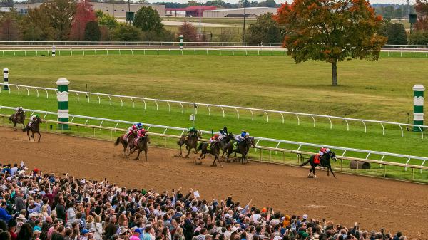 Where to Watch/Listen: Horse Racing Coverage Oct. 25-29 | America's ...