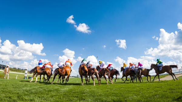 Where to Watch/Listen: Horse Racing Coverage April 19-23 | America's ...