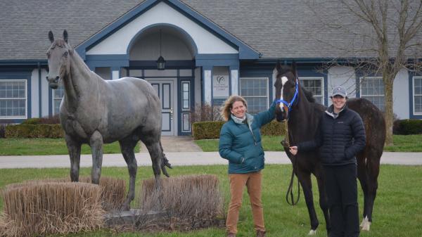 Visit Horse Country: Secretariat Center Retrains Racehorses for New ...