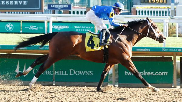 Five Questions to be Answered in the 2024 Lecomte Stakes | America's ...