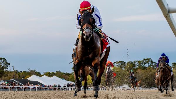 2025 Kentucky Derby Prospect Profiles: Tampa Bay Derby Winner Owen ...