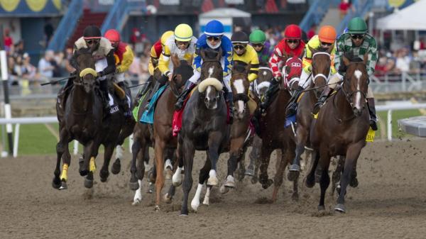 2023 King's Plate Cheat Sheet: Get to Know the Horses | America's Best ...