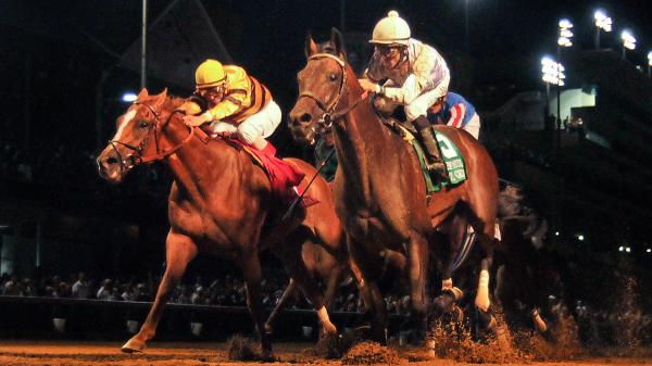 Nine Things to Know About the 2020 Stephen Foster Stakes | America's ...