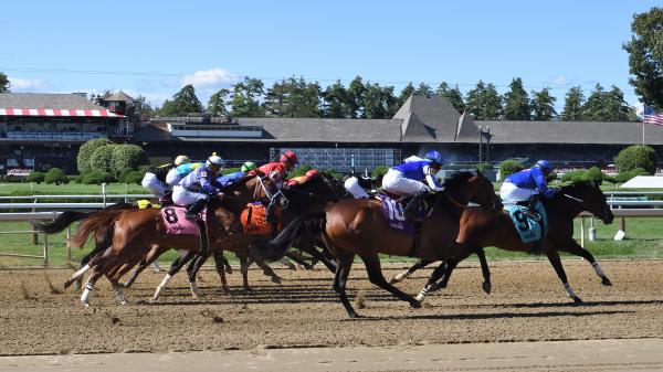 BloodHorse Year in Review Survey: Industry Panel Discusses HISA and ...