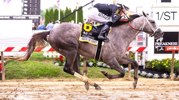 2024 Triple Crown Prospect Profiles: Preakness Stakes Winner Seize the ...
