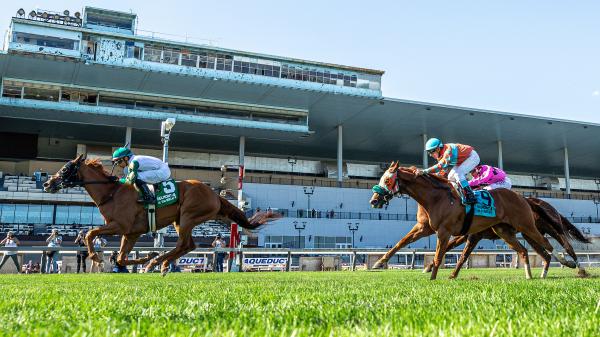 Noel’s Weekend Winners: Turf Racing Plays Saturday at the Big A ...