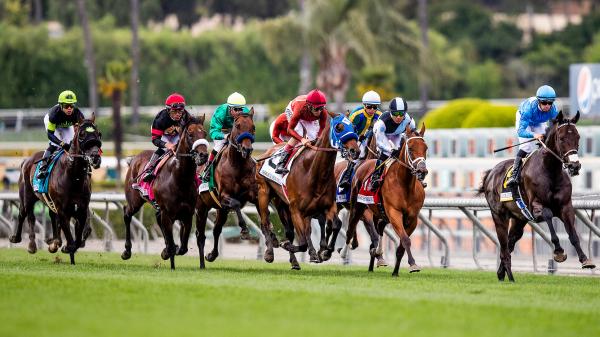 Where to Watch/Listen: Horse Racing Coverage for Memorial Day Weekend ...