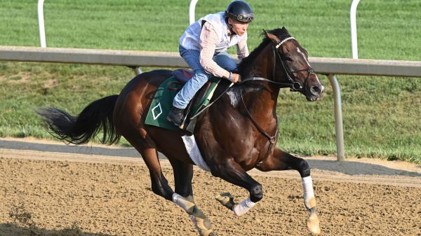 2025 Travers Stakes Cheat Sheet | America's Best Racing
