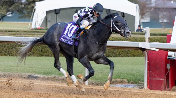 2025 Kentucky Derby Prospect Profiles: Southwest Stakes Winner Speed ...