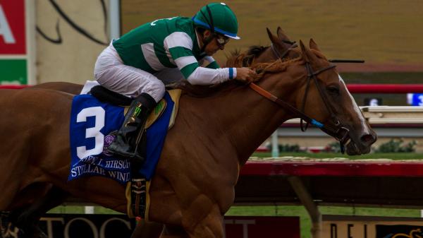 Stellar Wind Edges Vale Dori in Clement Hirsch | America's Best Racing