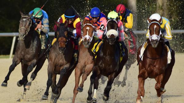 Why Heartened Can Give Pletcher Seventh Tampa Bay Derby Win | America's ...