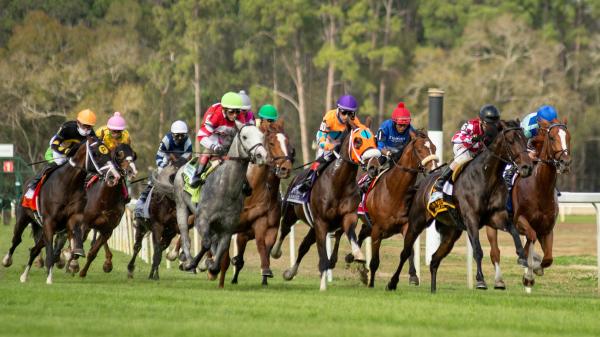 Where to Watch/Listen: Horse Racing Coverage for Feb. 18-22 | America's ...