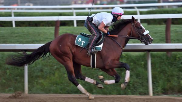 2020 Runhappy Travers Stakes Cheat Sheet | America's Best Racing