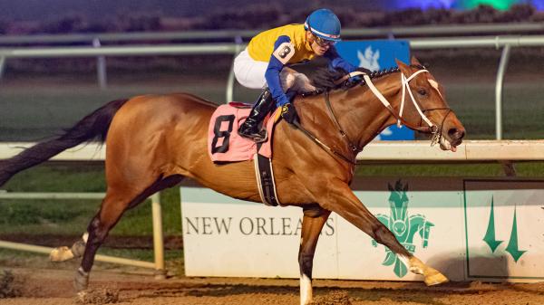 2024 Kentucky Derby Prospect Profiles: Track Phantom | America's Best ...