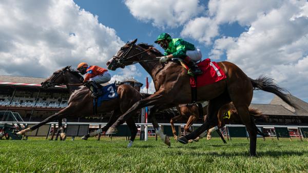 Where to Watch/Listen: Horse Racing Coverage for Aug. 12-16 | America's ...