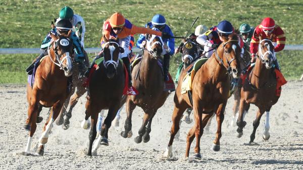 Three New Contenders Crack Latest Triple Crown Top Ten Poll | America's ...