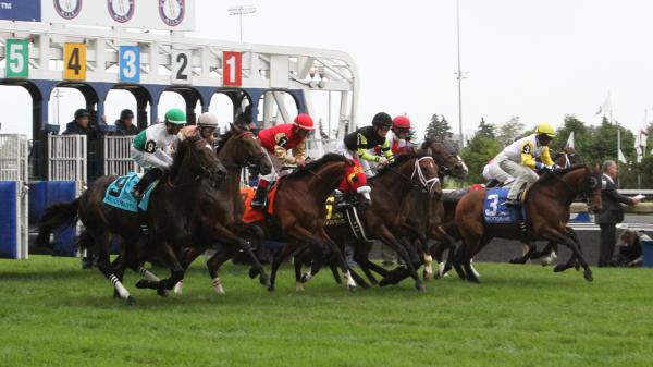 Where to Watch/Listen: Horse Racing Coverage June 1-4 | America's Best ...