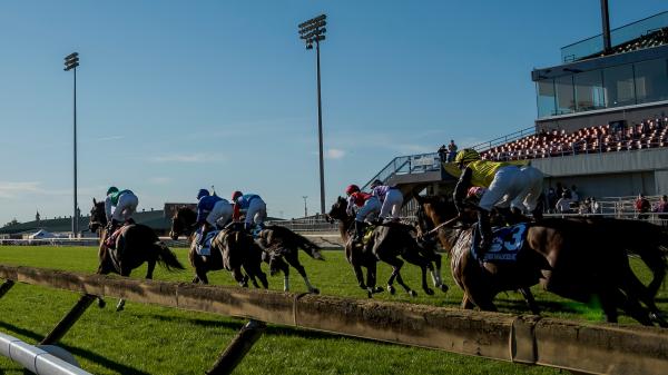 Woodbine Winners: Last-Race Jackpot Hi-5 Reaps $56K | America's Best Racing