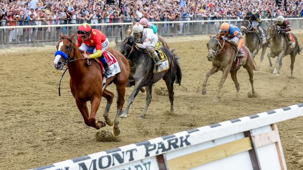 Which Horses Have Won the Triple Crown of American Thoroughbred Racing ...