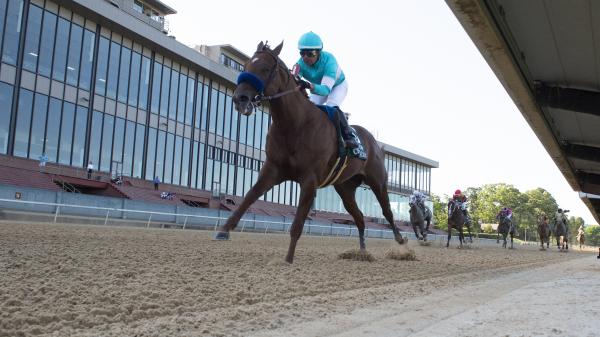 Charlatan Proves He's No Pretender in First Division of Arkansas Derby ...