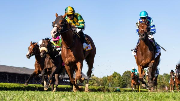 Gufo, Malathaat, Jack Christopher Among Shining Stars on Travers Day ...