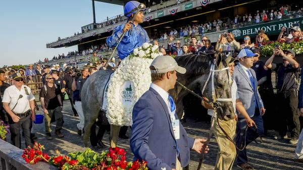 Travers Analysis: Opportunity for Essential Quality to Put Away Peers ...