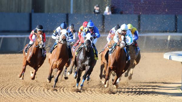 Betting Guide for the 2024-’25 Oaklawn Park Meet: Key Track Trends to ...