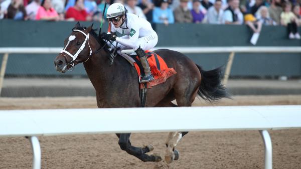 Five Key Takeaways You Need to Know From Rebel Stakes, and Saudi Cup ...