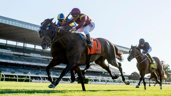 European Invader The Foxes May Be Tough in Belmont Derby Invitational ...