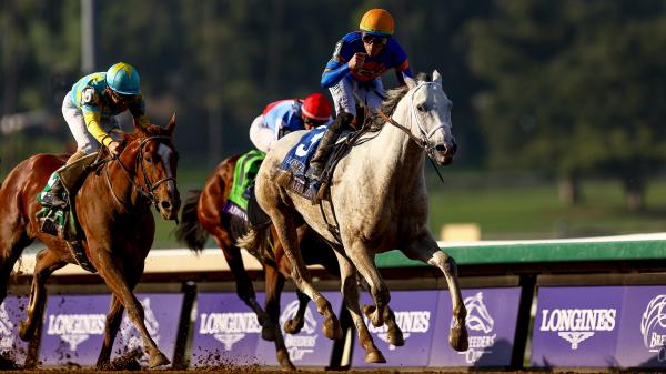 Breeders’ Cup Classic Winner White Abarrio Top-Rated Dirt Horse in ...