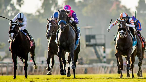 Five Key Takeaways to Know From Inaugural California Crown Weekend ...