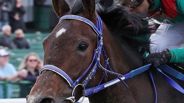 Miss Leslie | America's Best Racing