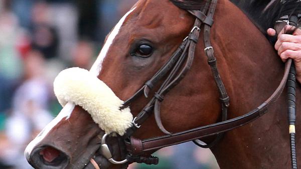 Pacific Gale | America's Best Racing