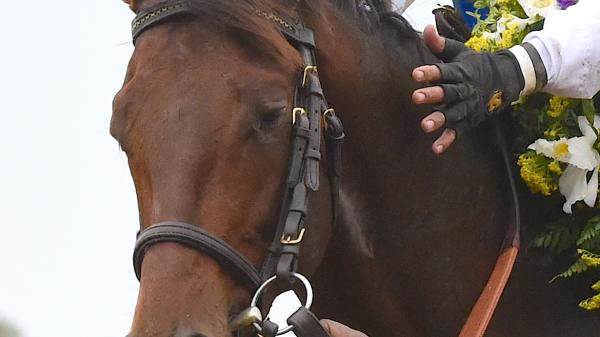 Runhappy | America's Best Racing