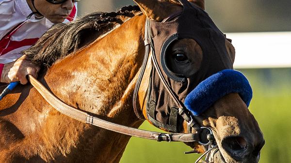 Corniche | America's Best Racing