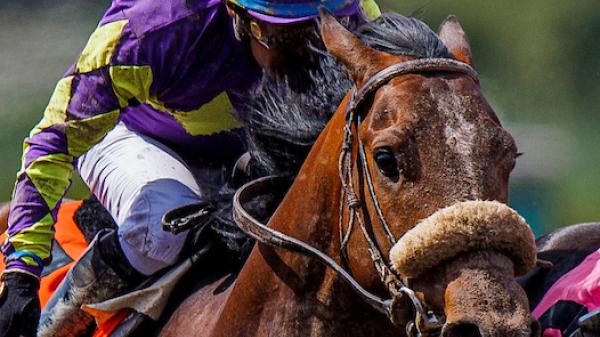 Skinner | America's Best Racing