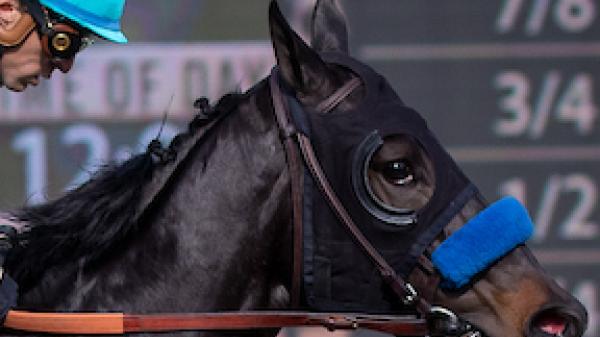 Rodriguez | America's Best Racing